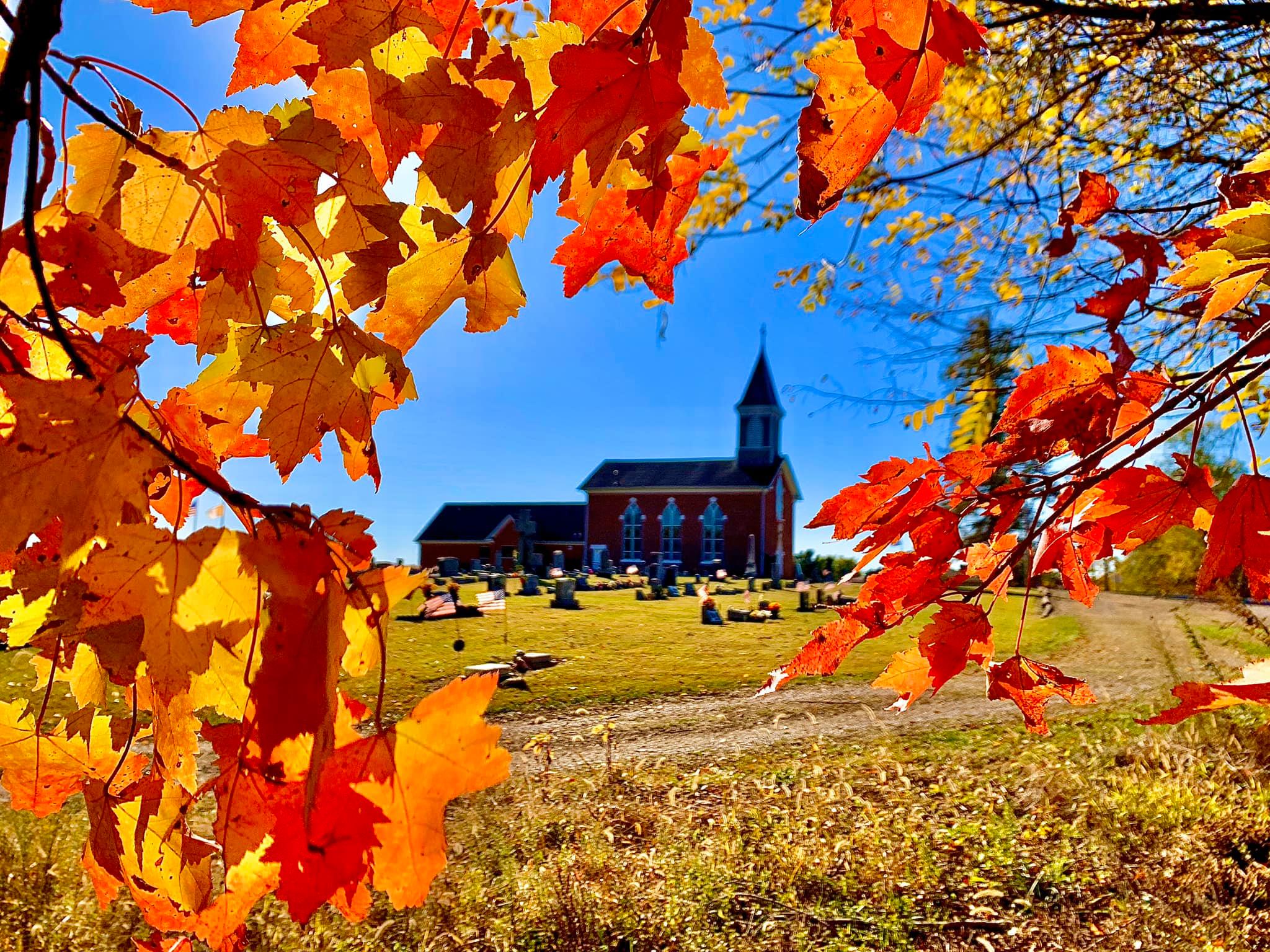 Mattingly Family – Mattingly Settlement